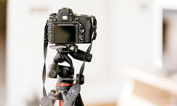 An Exploration of the Art of Stop-Motion Animation